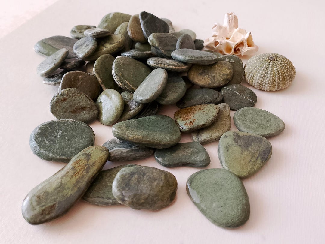 Large Green, Flat Beach Pebbles for Crafts and Decoration - Etsy