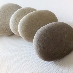 Medium - Large Oval Beach Stones for Painting 5 Pieces - Etsy