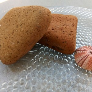 Large Beach Flat Terracotta, Authentic Sea Pottery Shards, Sea Finds - Etsy