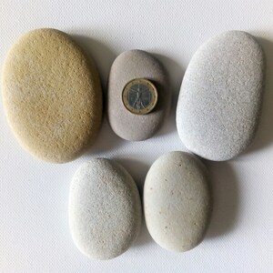 Medium - Large Oval Beach Stones for Painting 5 Pieces - Etsy