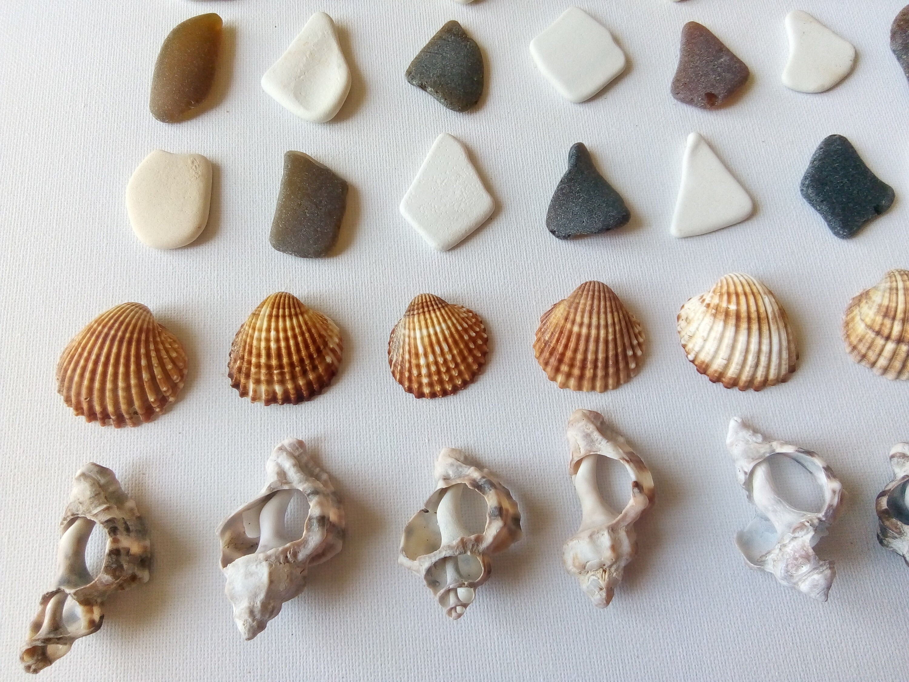Sea Finds Mix Collection 42 Pieces - Etsy