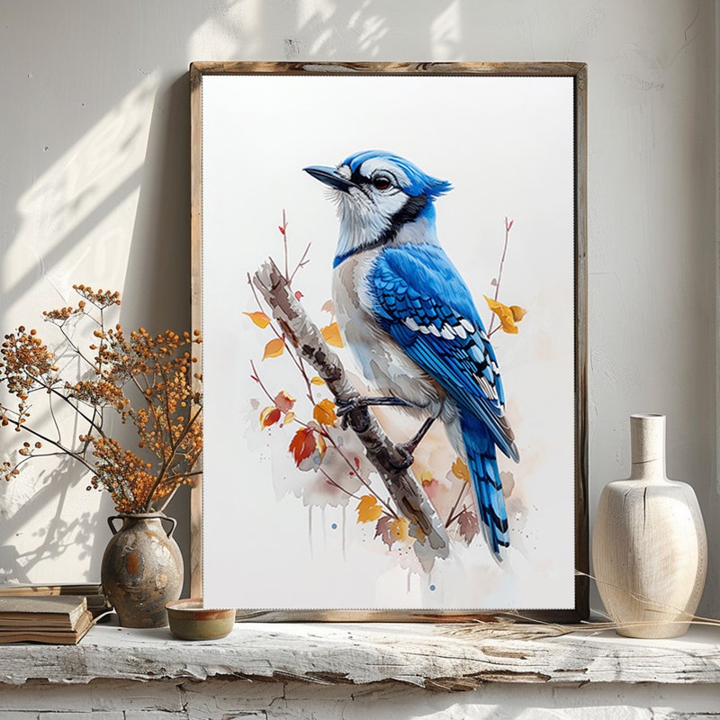 Blue Jay Print - Etsy