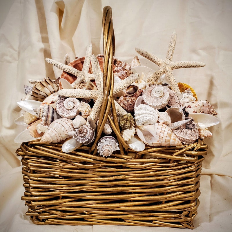 Shell Arrangements - Etsy