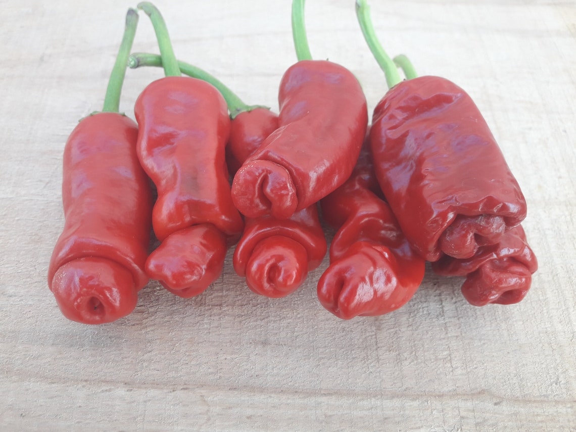 Peter Pepper Chili de pénis 20 graines de piment chaud - Etsy France