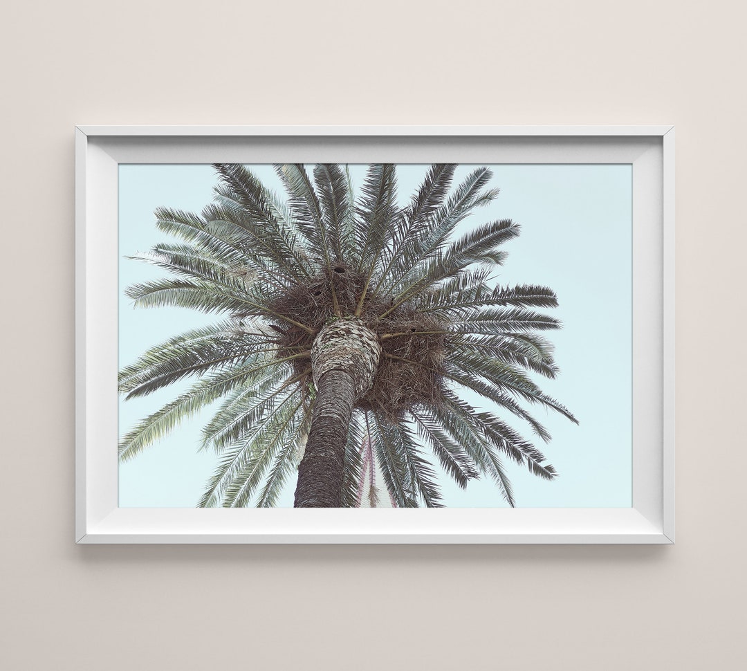 Palm Tree Photo Boho Beach Coastal Decor Wall Art Print Poster Download ...