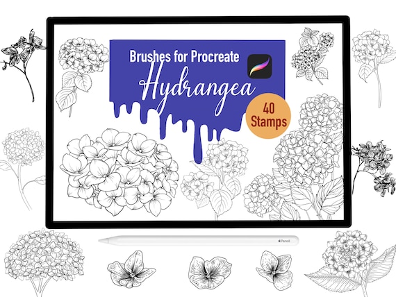 40 Hydrangea Stamp Brushes for Procreate Procreate Brushes - Etsy