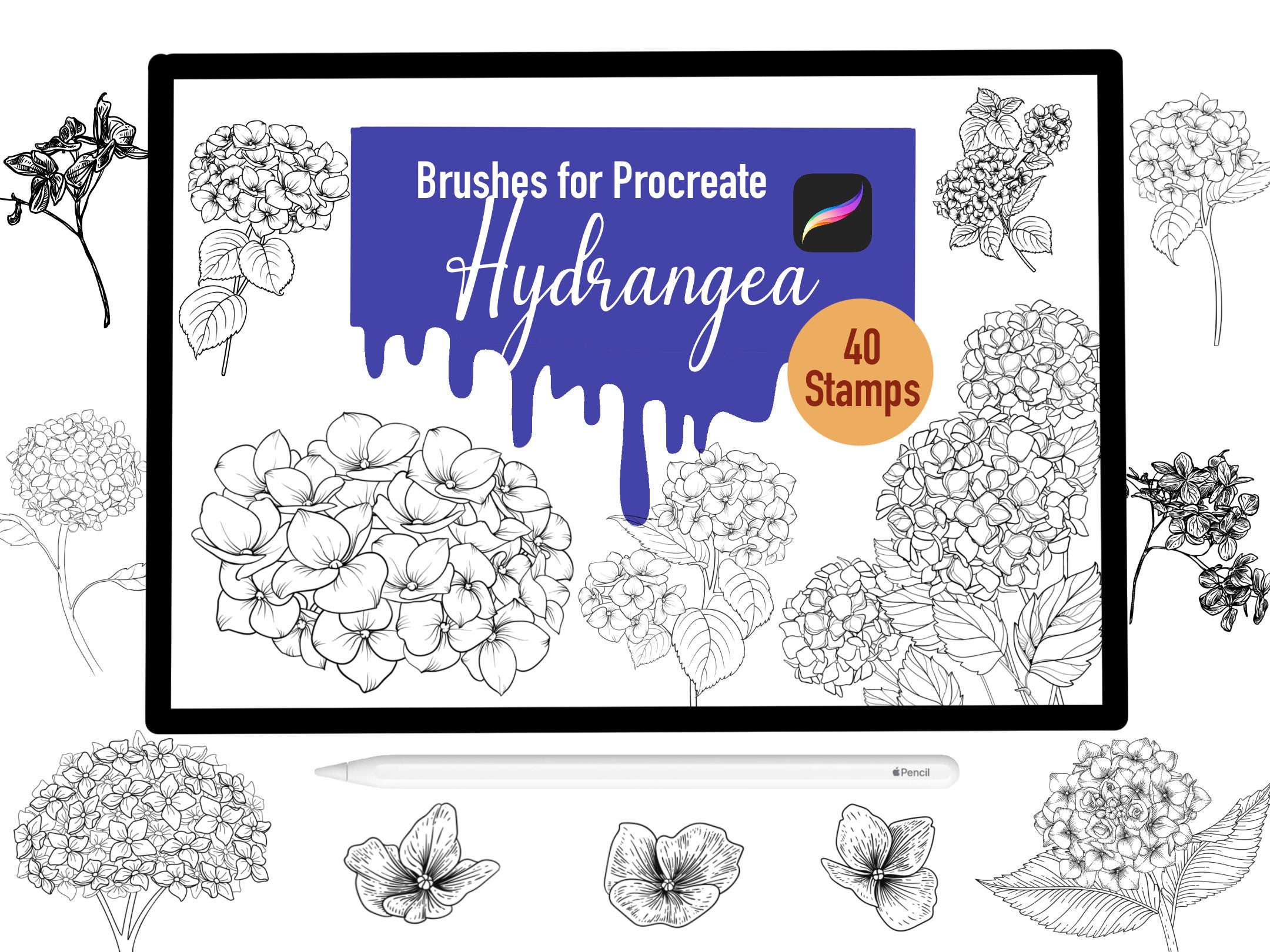40 Hydrangea Stamp Brushes for Procreate Procreate Brushes - Etsy