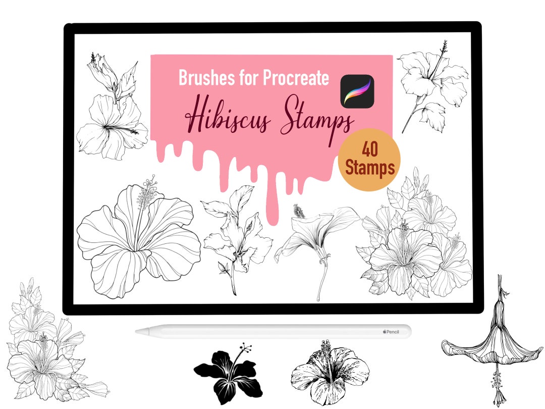40 Hibiscus Stamp Brushes for Procreate, Procreate Brushes, Nature ...