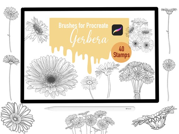 40 Gerbera Stamp Brushes for Procreate Procreate Brushes - Etsy