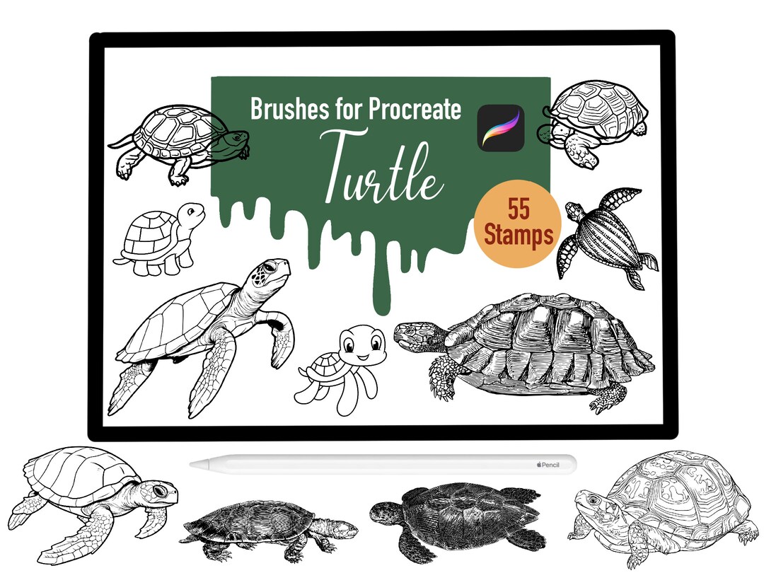 55 Turtle Stamp Brushes for Procreate, Procreate Brushes, Nature, Landscape, Procreate Stamps ...
