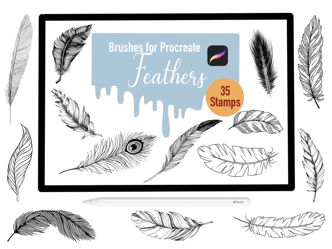 35 Feather Stamp Brushes for Procreate, Procreate Brushes, Nature ...