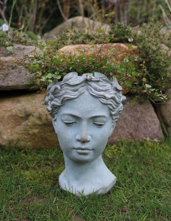 Sarah Schaper's Instagram, Twitter & Facebook on IDCrawl