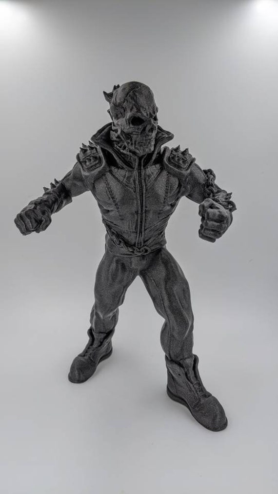 The Devil Ghost Rider