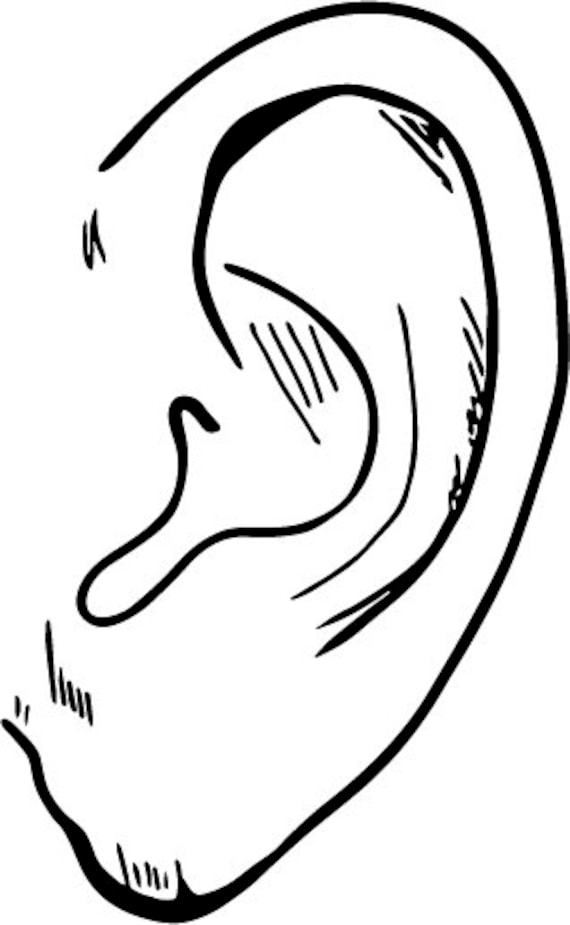 Visual Arts Human ear svgear clipartear svgear silhouetteear ...