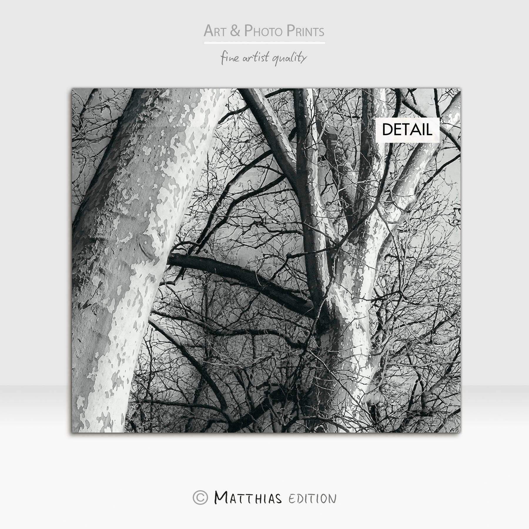 Black and White Landscape Poster Tree Photo, High Quality Print ...