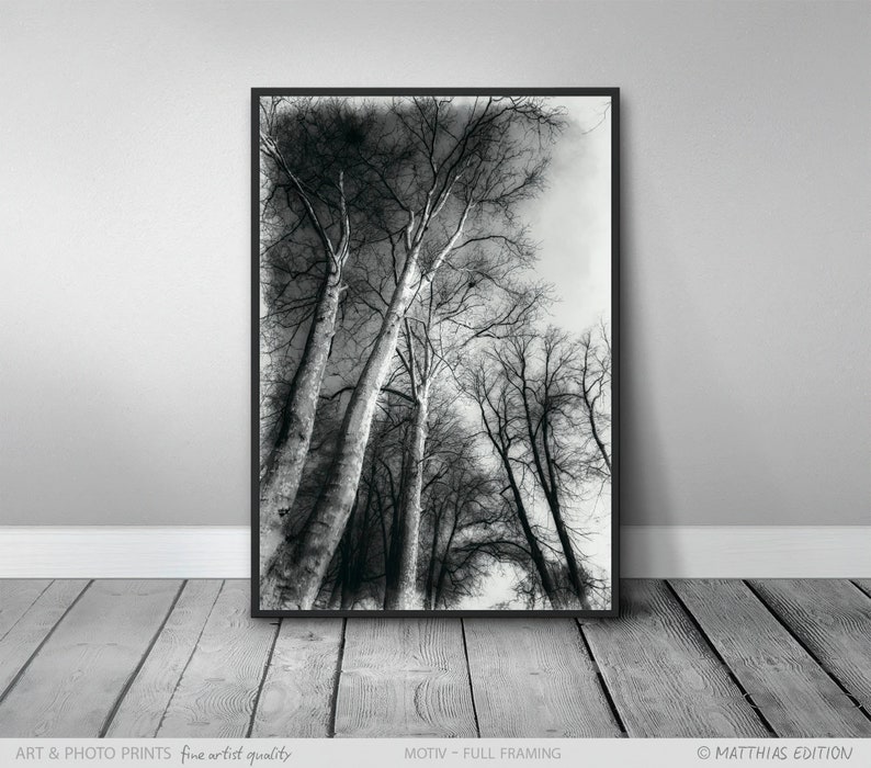 Black and White Landscape Poster Tree Photo, High Quality Print ...
