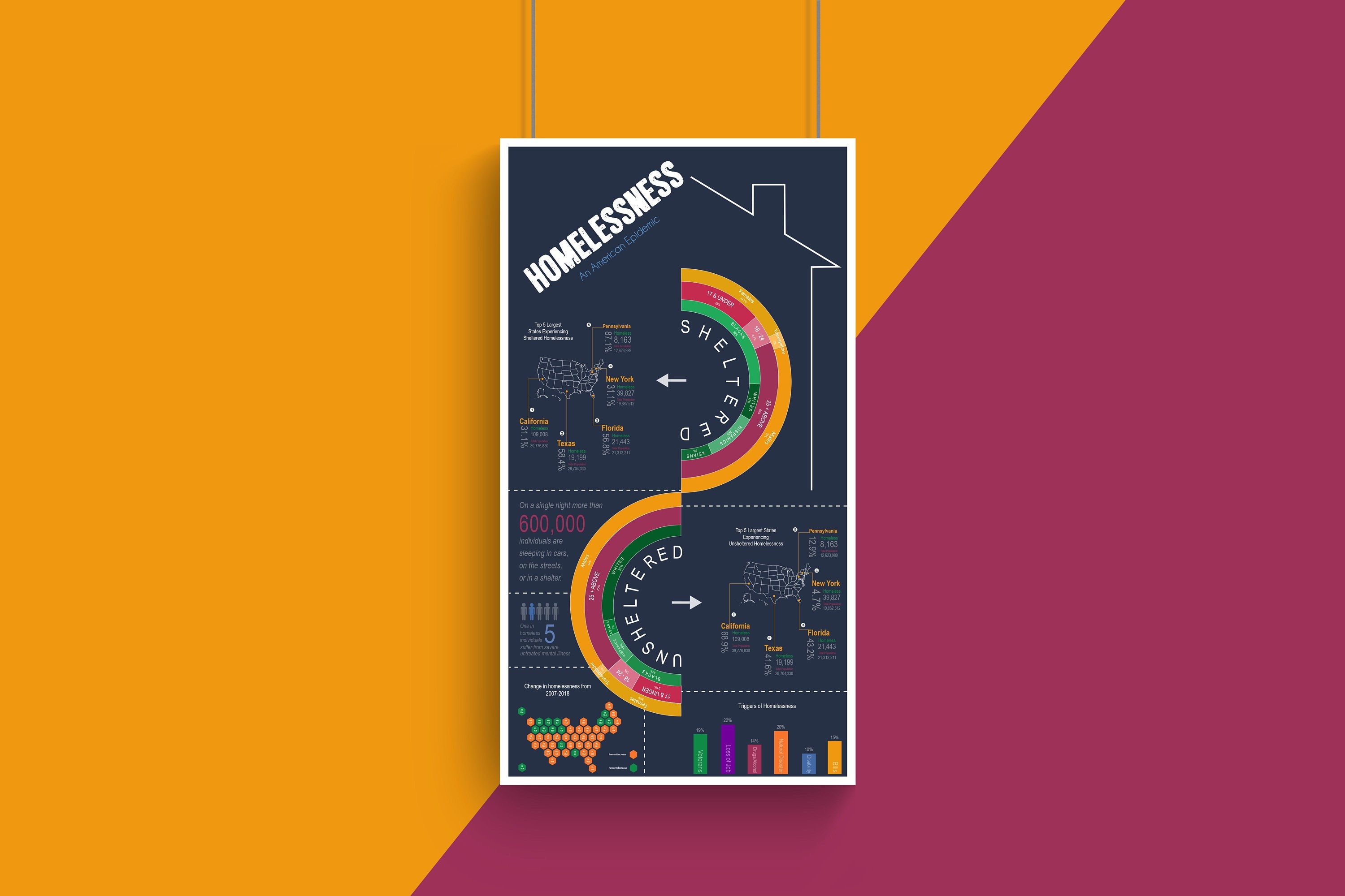 Homelessness Infographic Poster | Etsy