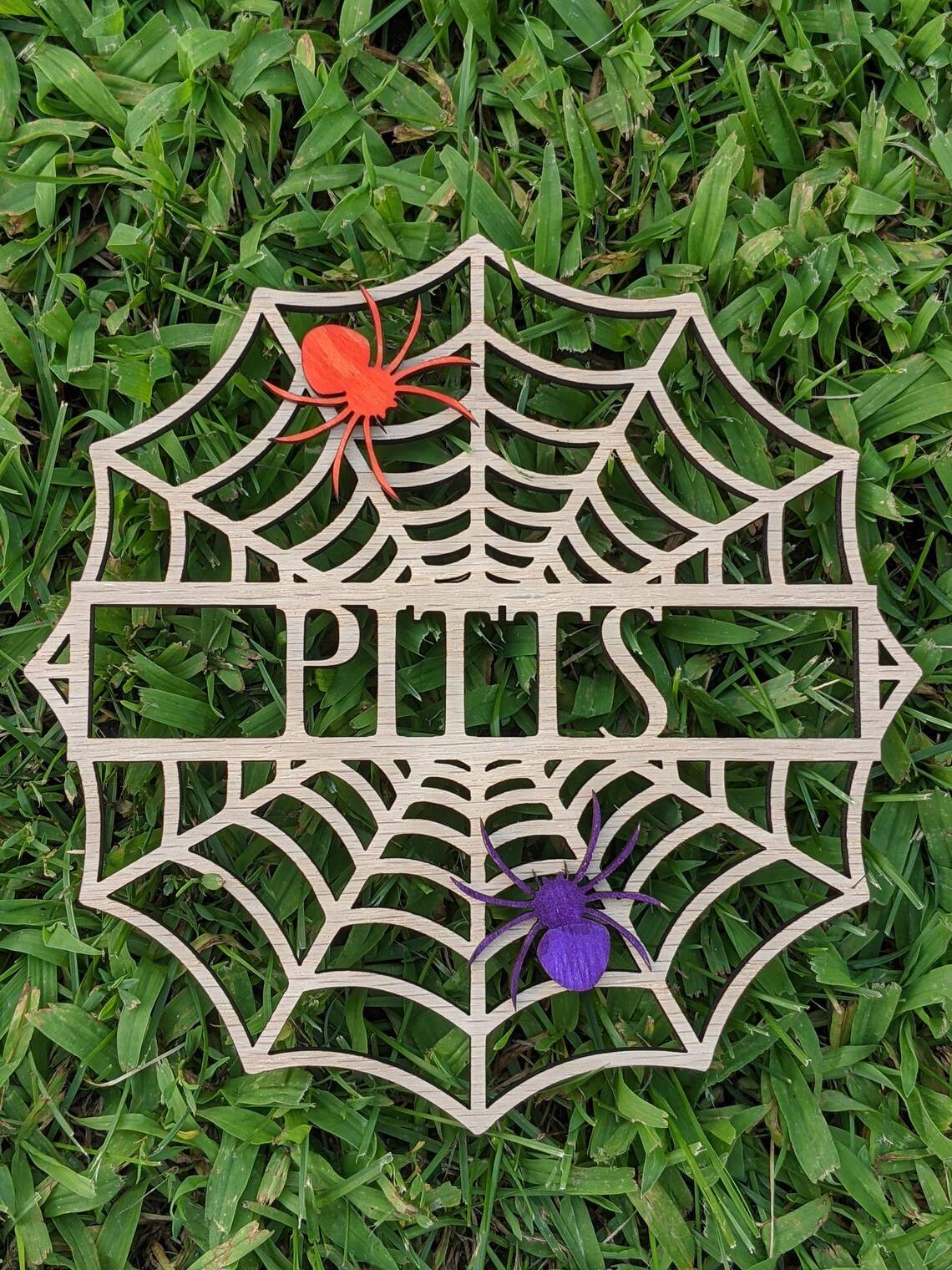 Spider Web With Spider Door Hanger SVG - Etsy