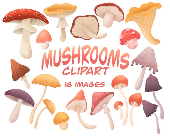 Mushrooms Clipart Mushroom Woodland Fall Clipart Autumn | Etsy