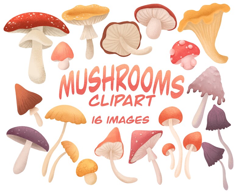 Mushrooms Clipart Mushroom Woodland Fall Clipart Autumn | Etsy