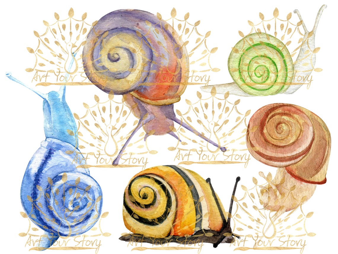 Snail Clipart, Watercolor, PNG, Digital Download, Snail Set - Etsy