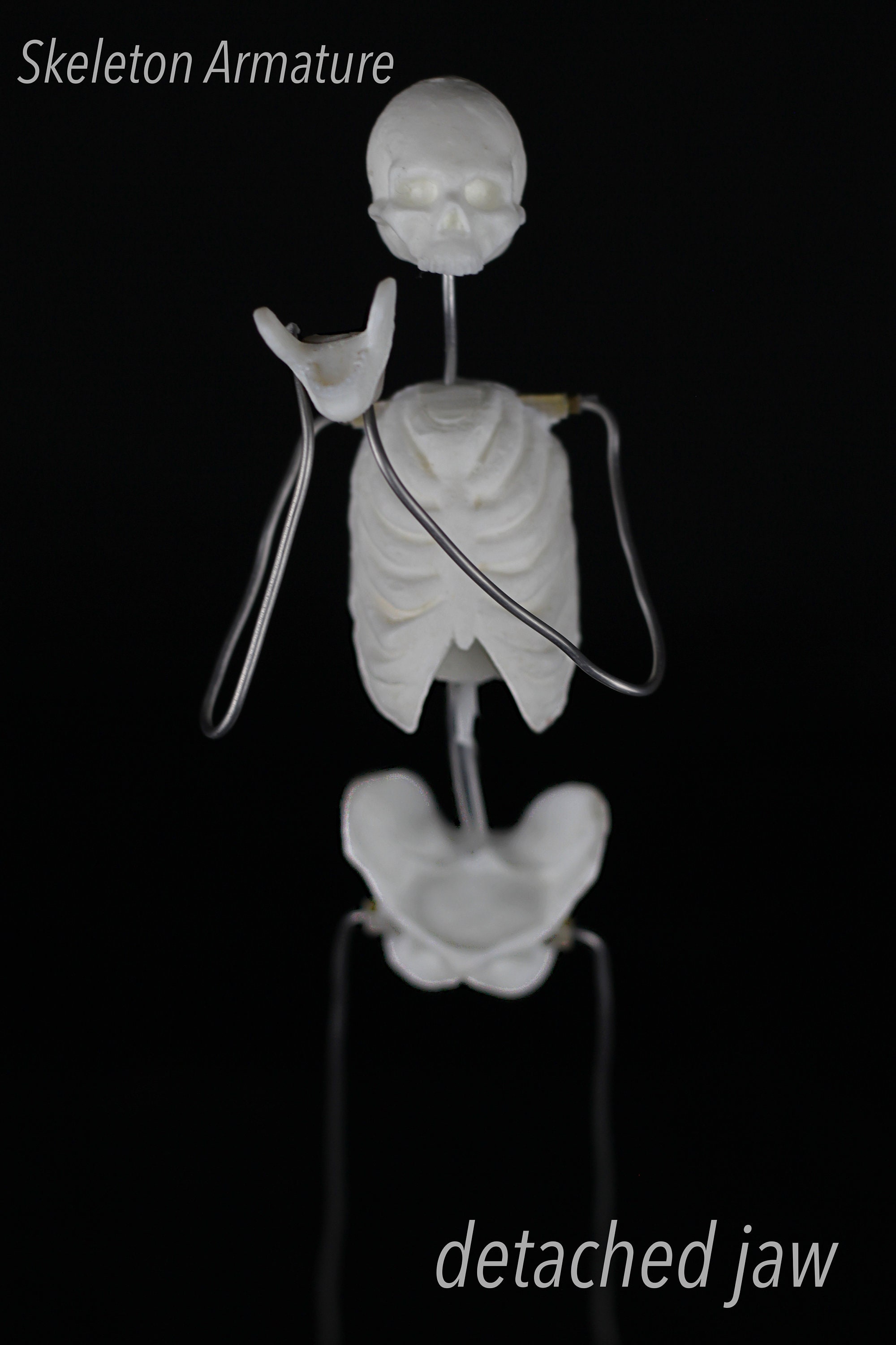 Skeleton Armature - Etsy Canada