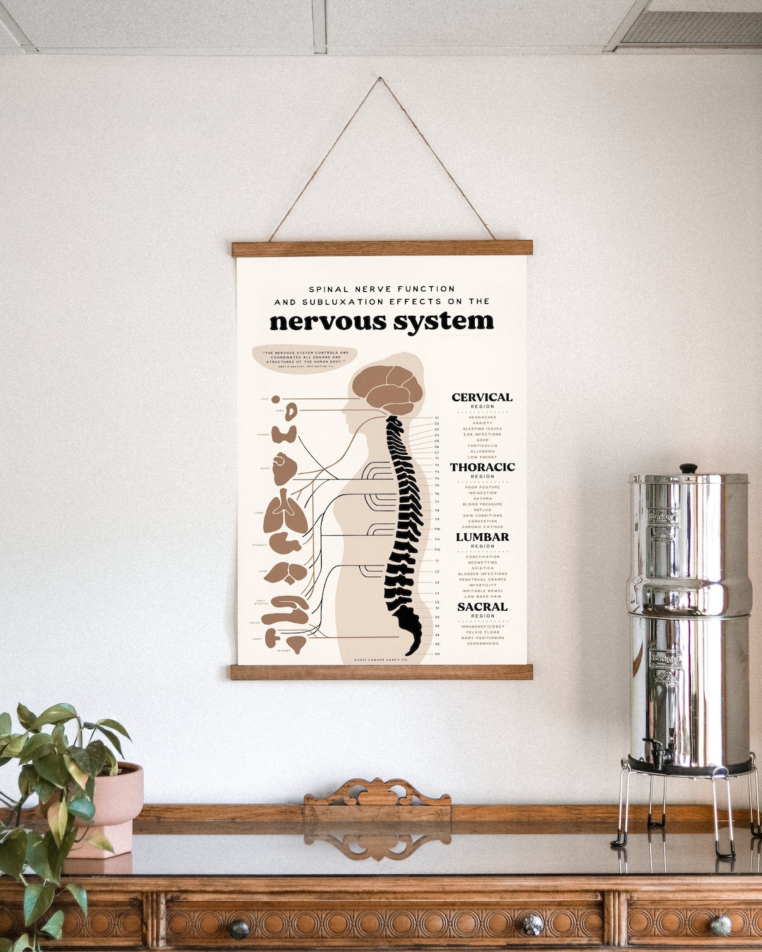 Chiropractic ANS Chart + Nervous System Poster | Subluxation Effects - Etsy