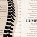 Chiropractic ANS Chart + Nervous System Poster | Subluxation Effects - Etsy