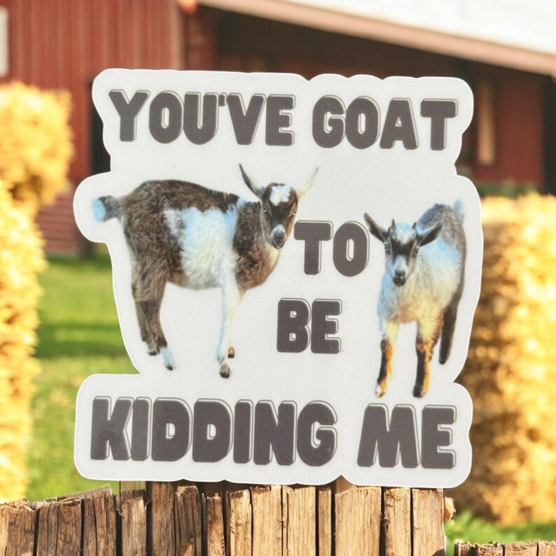 Goat Sticker Funny, You've Goat to Be Kidding Me, Pun Gifts, Farm ...
