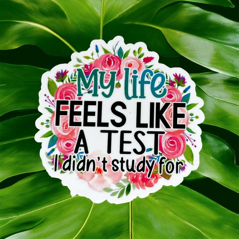 Adult Humor Stickers Etsy