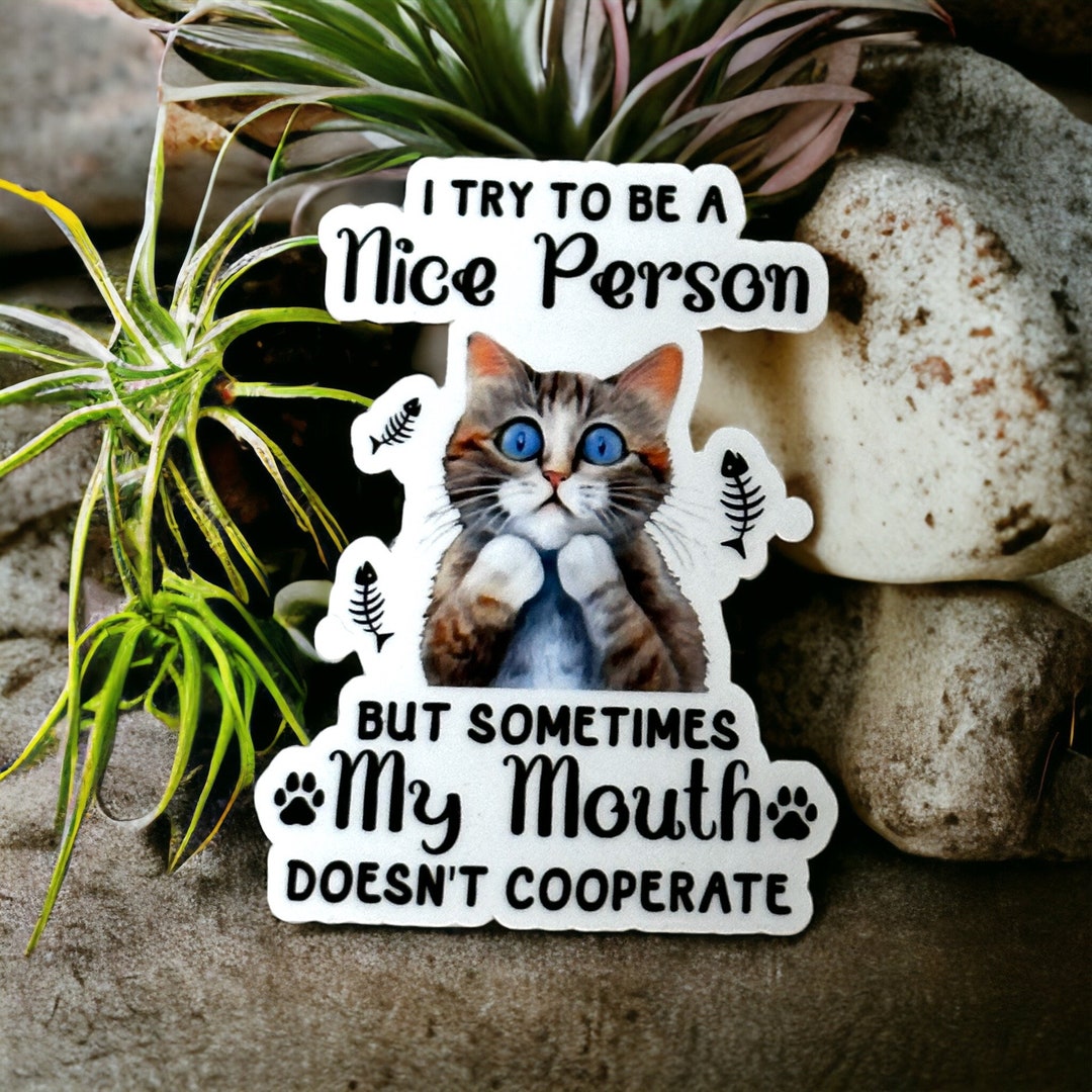 I Try to Be a Nice Person, Cat Stickers, Funny Sayings, Stickers for ...