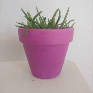 Thermochromic Color Changing Planter, Plant Pots - Etsy