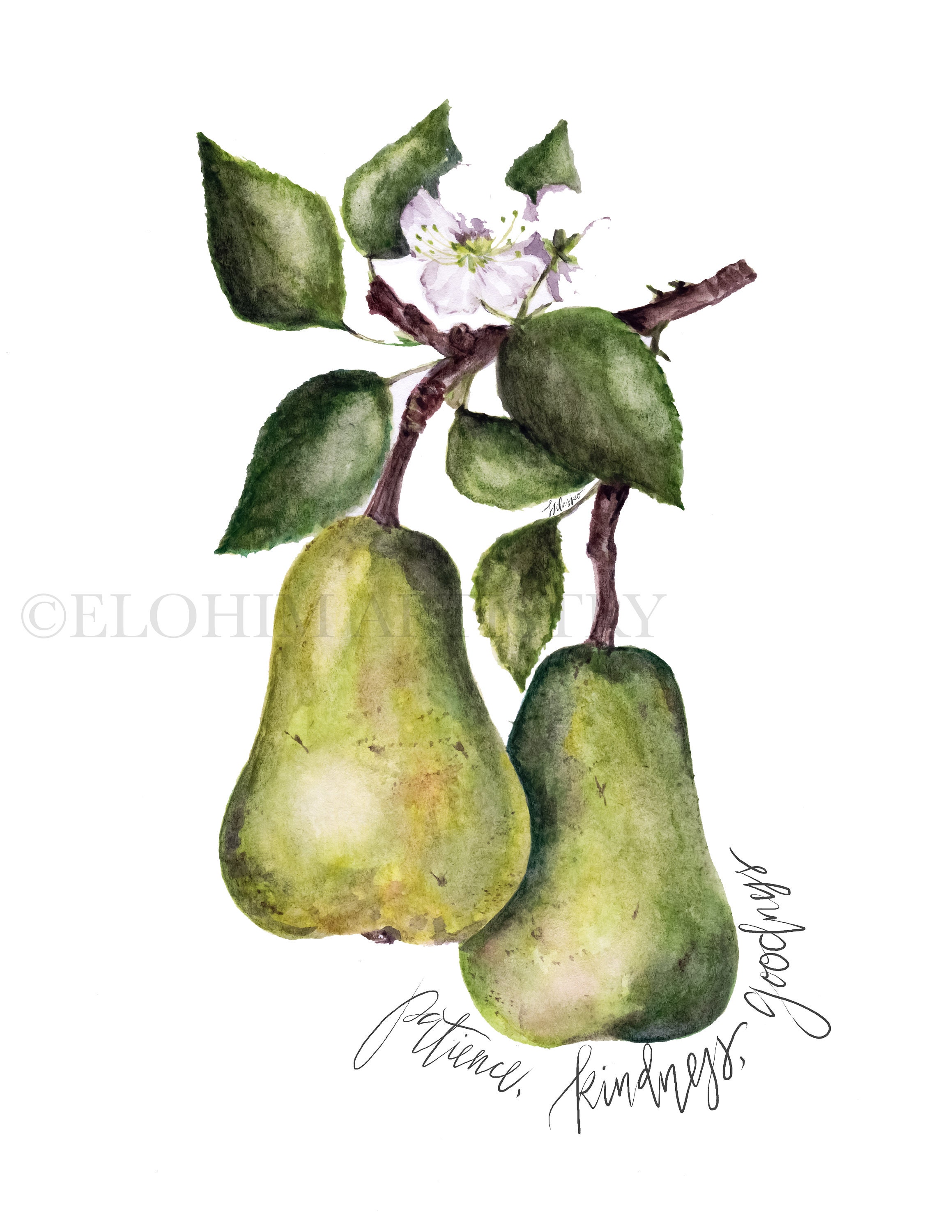 The Fruit of the Spirit _ Watercolor Print Set _ Kitchen Art - Etsy