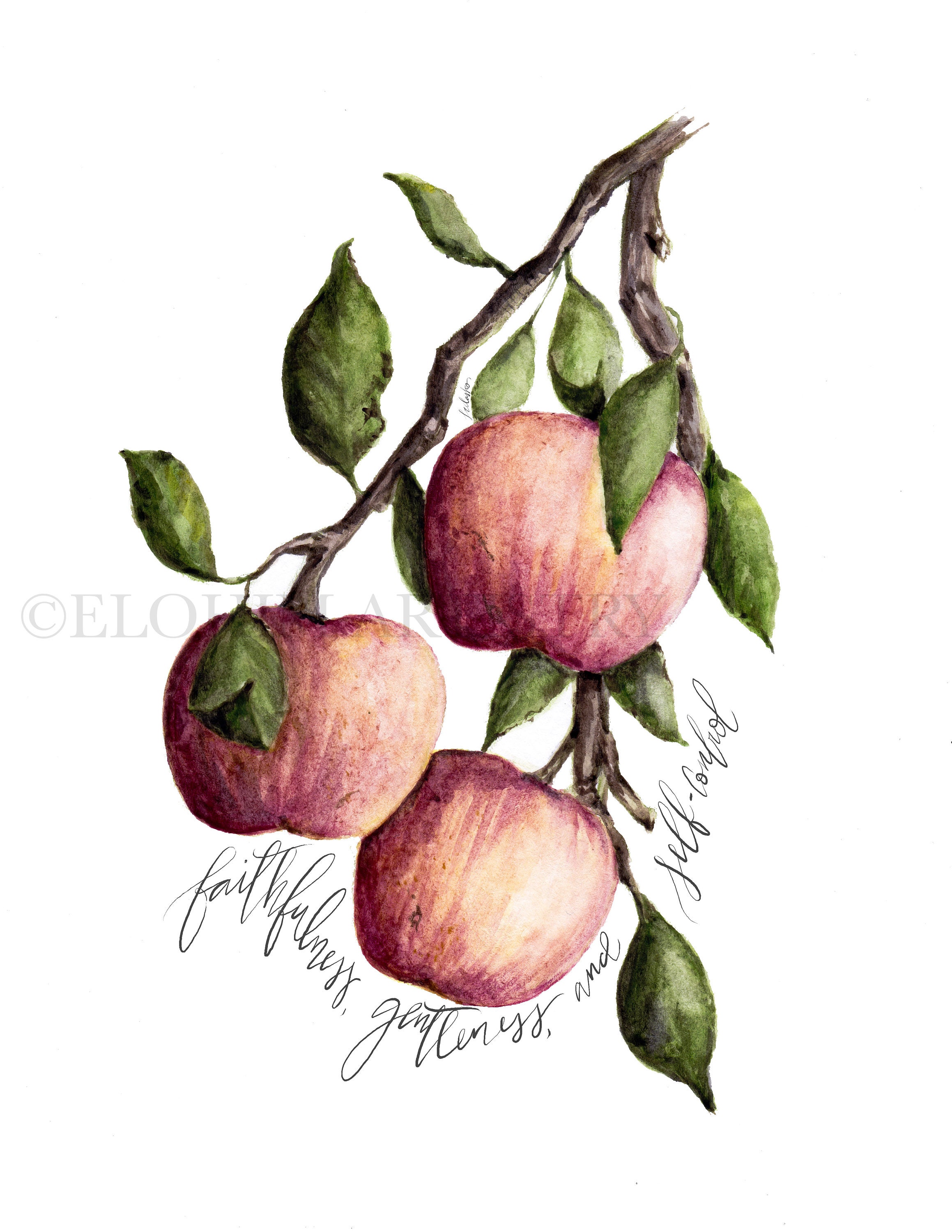 The Fruit of the Spirit _ Watercolor Print Set _ Kitchen Art - Etsy