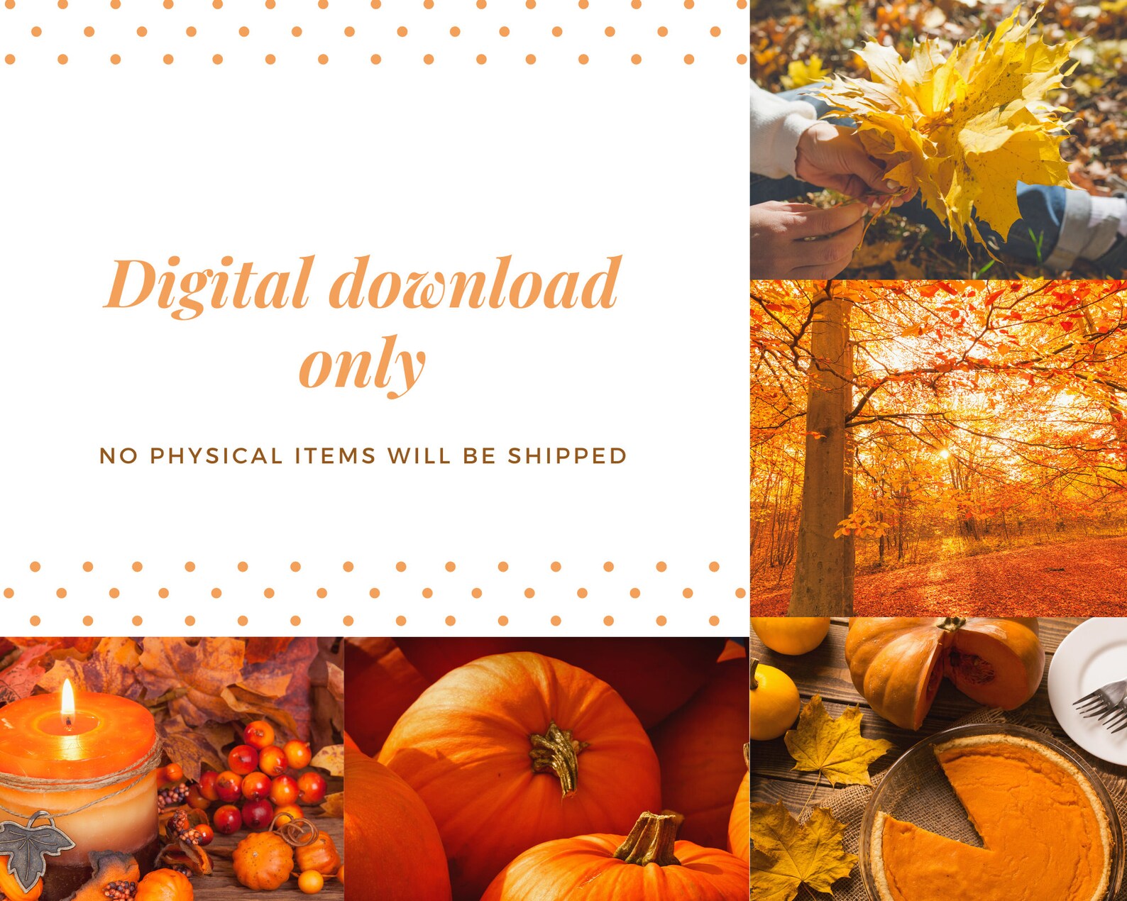 Printable Digital Download 5 sheets including Daily Planner | Etsy