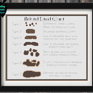 BRISTOL STOOL CHART - Blackwork & Cross Stitch Blend - Pdf Digital ...