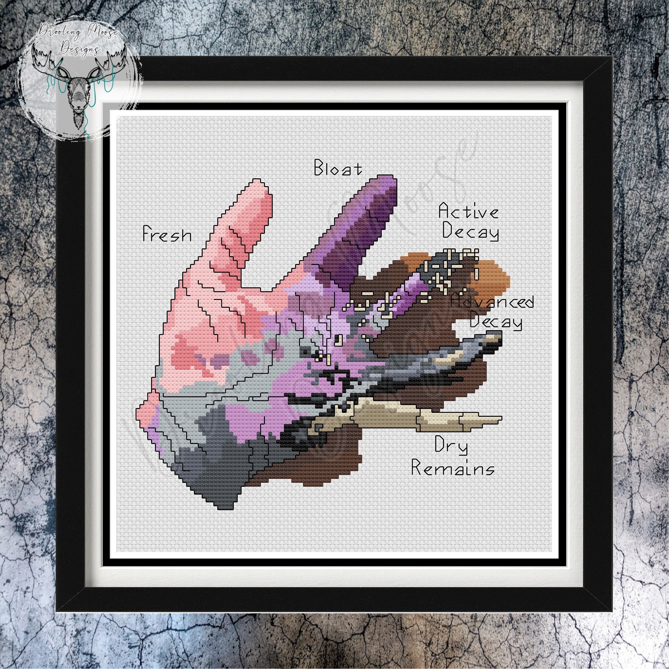 Five Stages of Decay Cross Stitch Pattern PDF, Anatomy Hand Embroidery ...