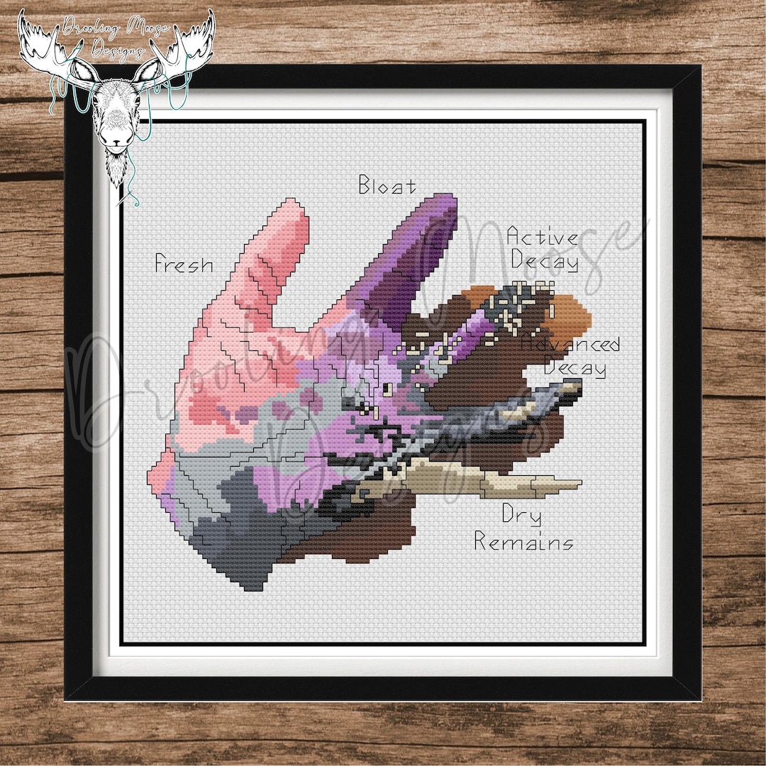 FIVE STAGES of DECAY Hand Cross Stitch Crime Scene Investigators 8 Inch ...