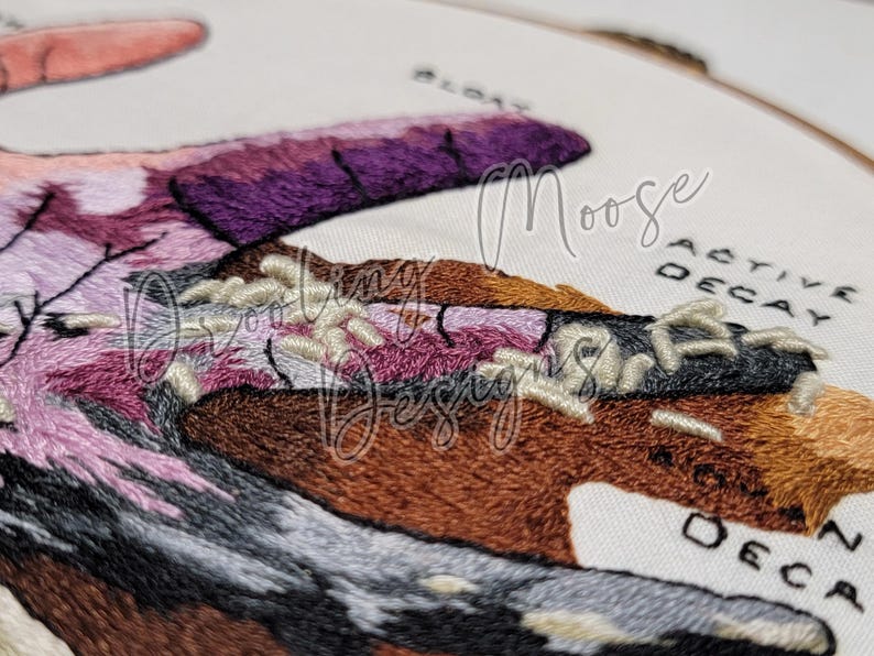 FIVE STAGES of DECAY Hand Embroidery 8 Inch | Pdf Digital Pattern ...