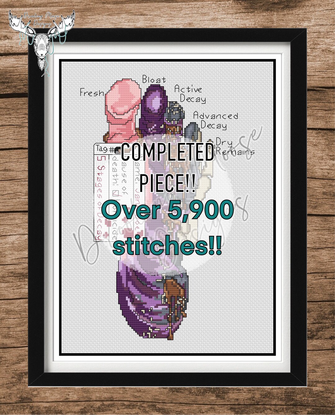 COMPLETED CROSS-STITCH Decayed Foot | 8 Inches, Death, Five Stages of ...