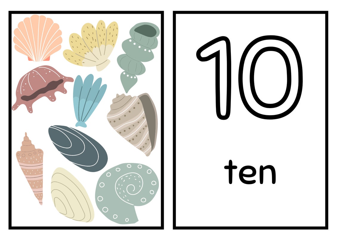 Seashell Numbers Flashcards (rainbow) - 1 to 10 - Etsy