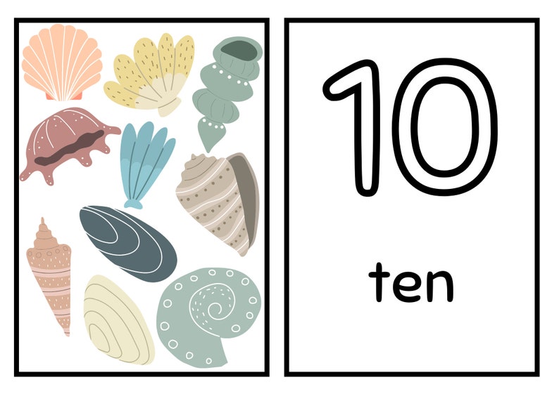 Seashell Numbers Flashcards (rainbow) - 1 to 10 - Etsy