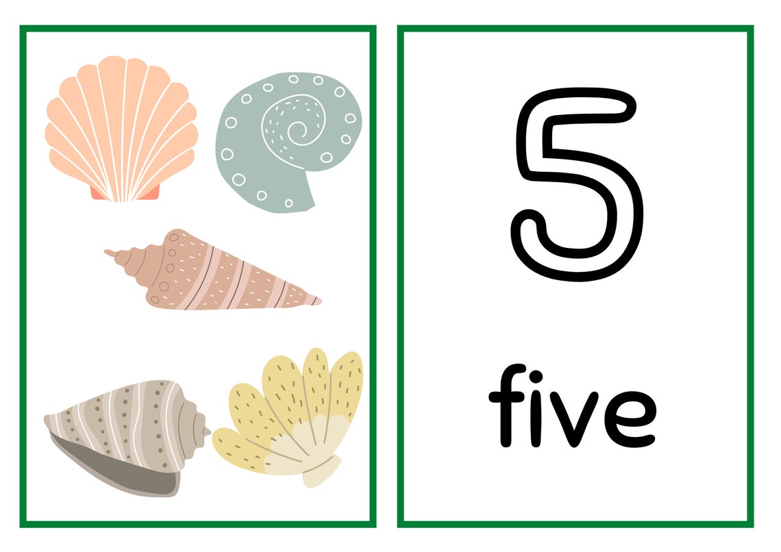Seashell Numbers Flashcards (rainbow) - 1 to 10 - Etsy