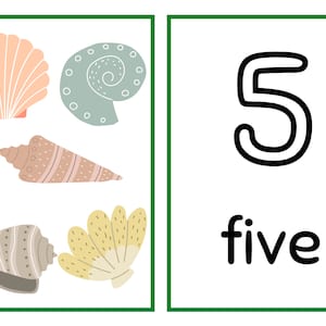 Seashell Numbers Flashcards (rainbow) - 1 to 10 - Etsy