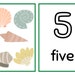 Seashell Numbers Flashcards (rainbow) - 1 to 10 - Etsy