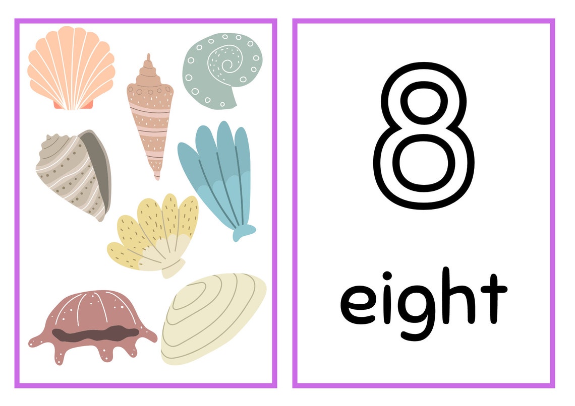 Seashell Numbers Flashcards (rainbow) - 1 to 10 - Etsy