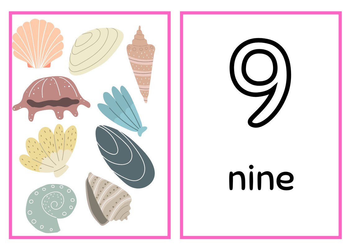 Seashell Numbers Flashcards (rainbow) - 1 to 10 - Etsy