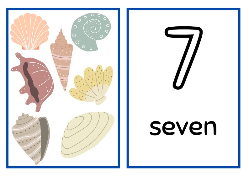 Seashell Numbers Flashcards (rainbow) - 1 to 10 - Etsy