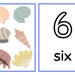 Seashell Numbers Flashcards (rainbow) - 1 to 10 - Etsy