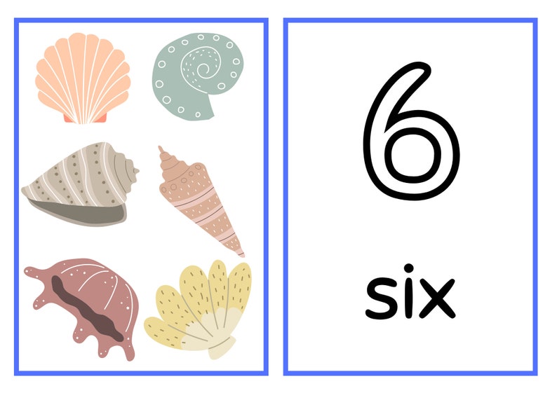Seashell Numbers Flashcards (rainbow) - 1 to 10 - Etsy